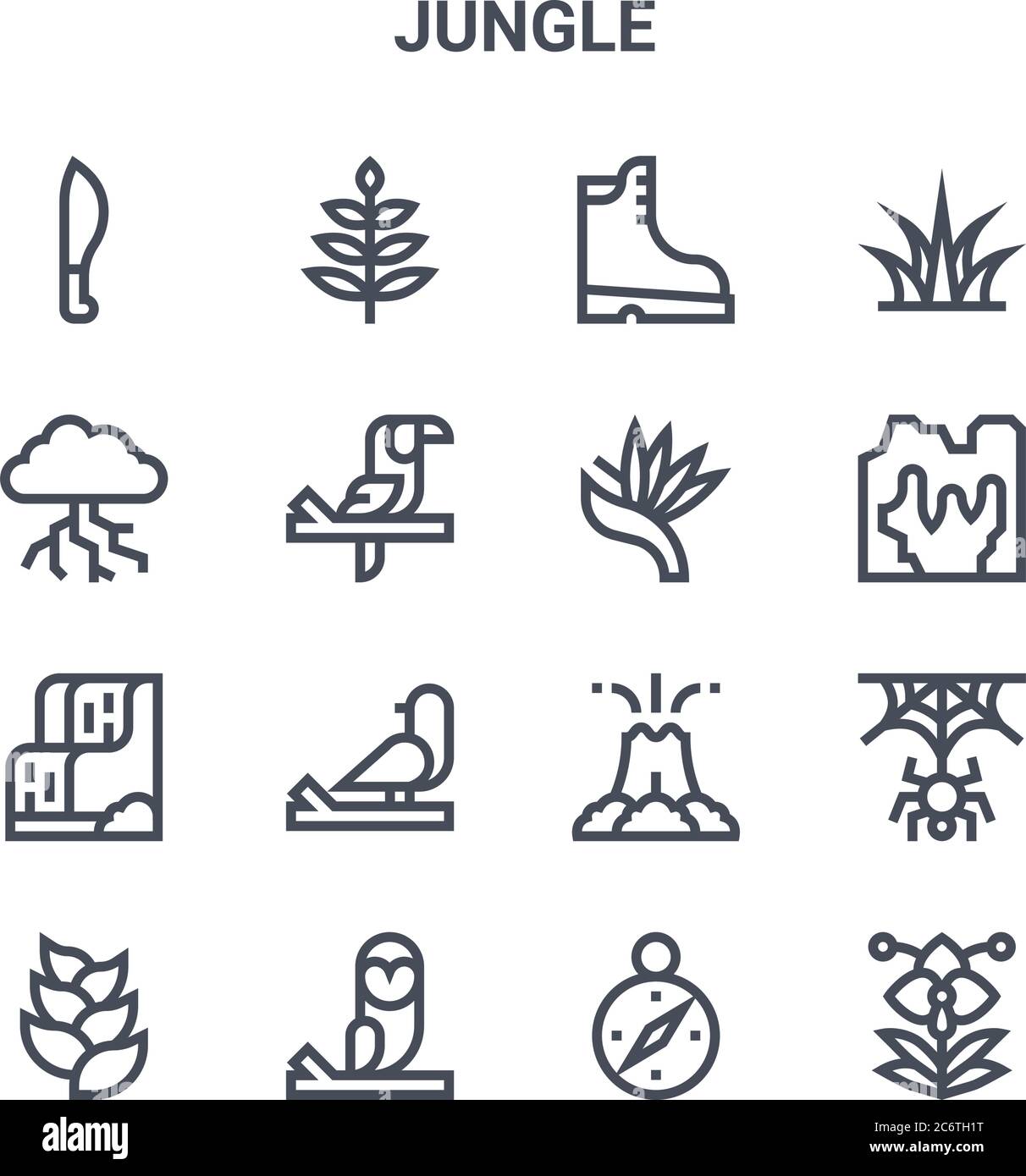 set of 16 jungle concept vector line icons. 64x64 thin stroke icons ...