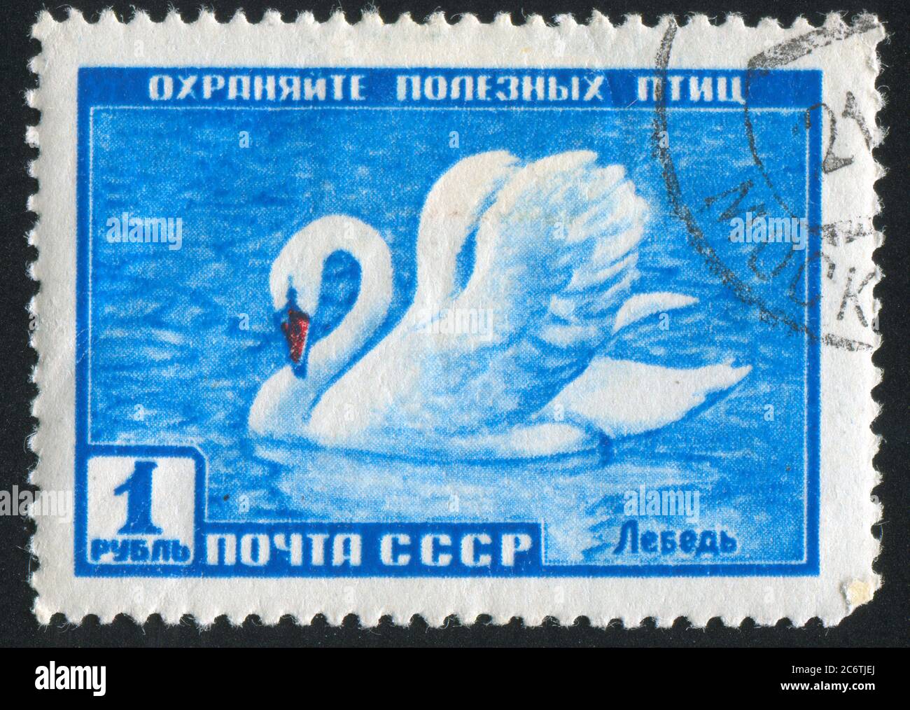 RUSSIA - CIRCA 1963: stamp printed by Russia, shows Swan, circa 1963 ...