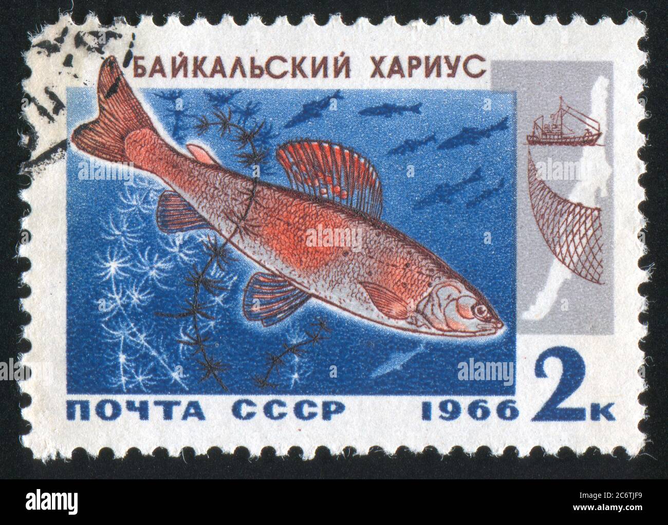 RUSSIA - CIRCA 1966: stamp printed by Russia, shows Baikal Grayling ...