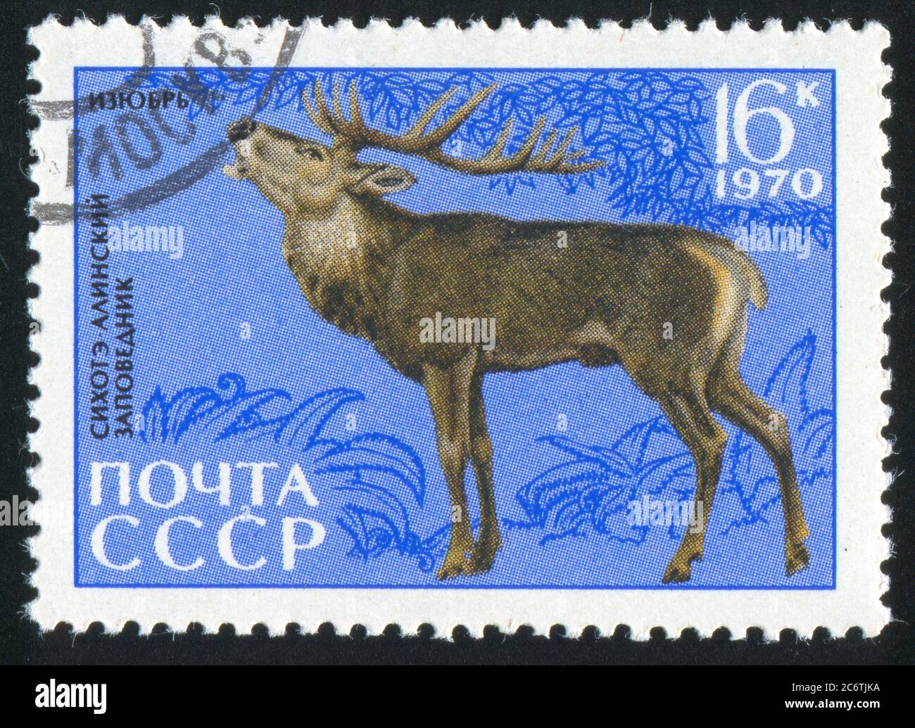 RUSSIA - CIRCA 1970: stamp printed by Russia, shows Animals from the ...
