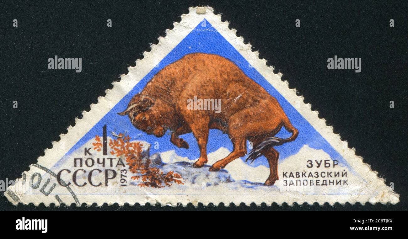 Russian bison reserve hi-res stock photography and images - Alamy