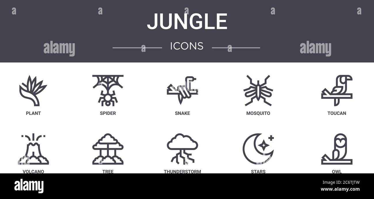 jungle concept line icons set. contains icons usable for web, logo, ui ...