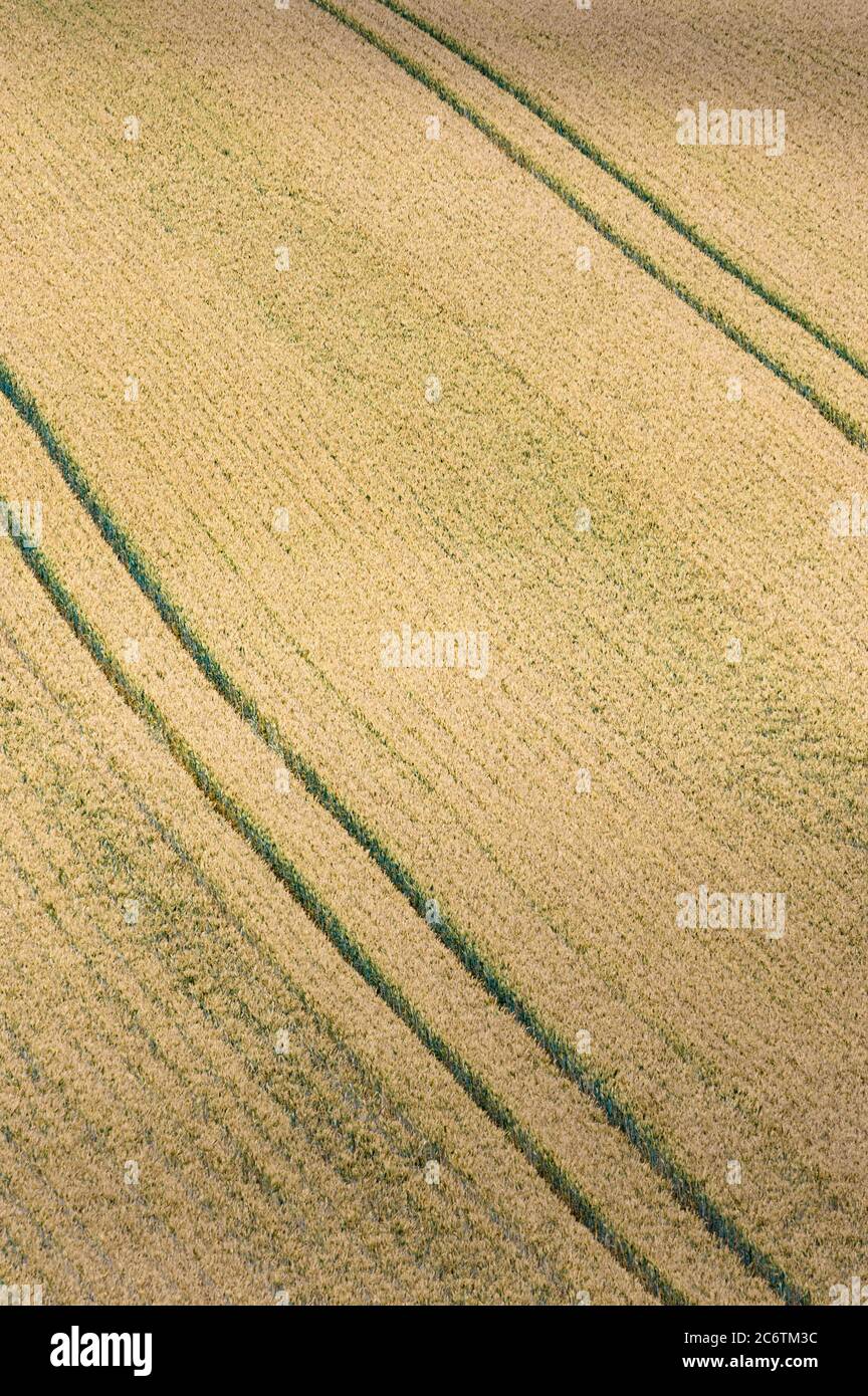 Zoomed in hi-res stock photography and images - Alamy