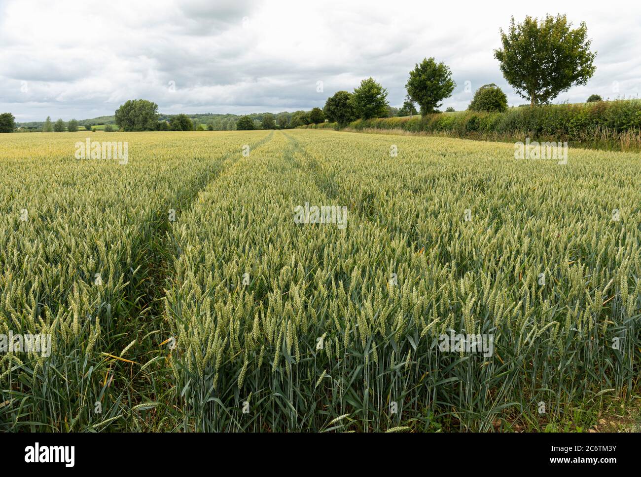 Mells village in somerset countryside hi-res stock photography and ...