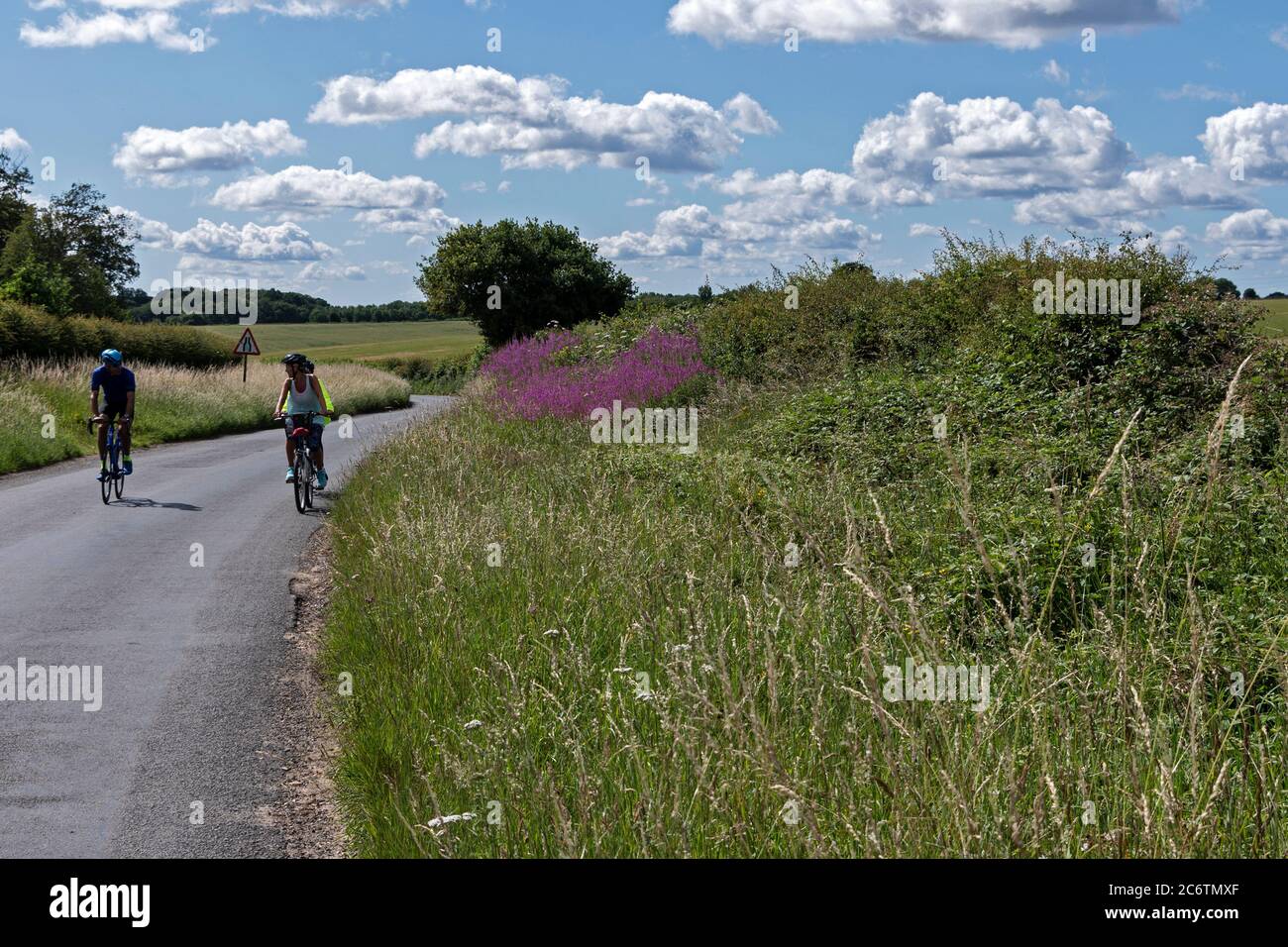 Weed in country road hi-res stock photography and images - Alamy