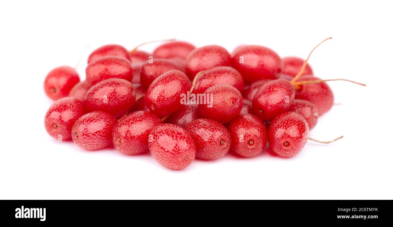 Silverberry hi-res stock photography and images - Alamy