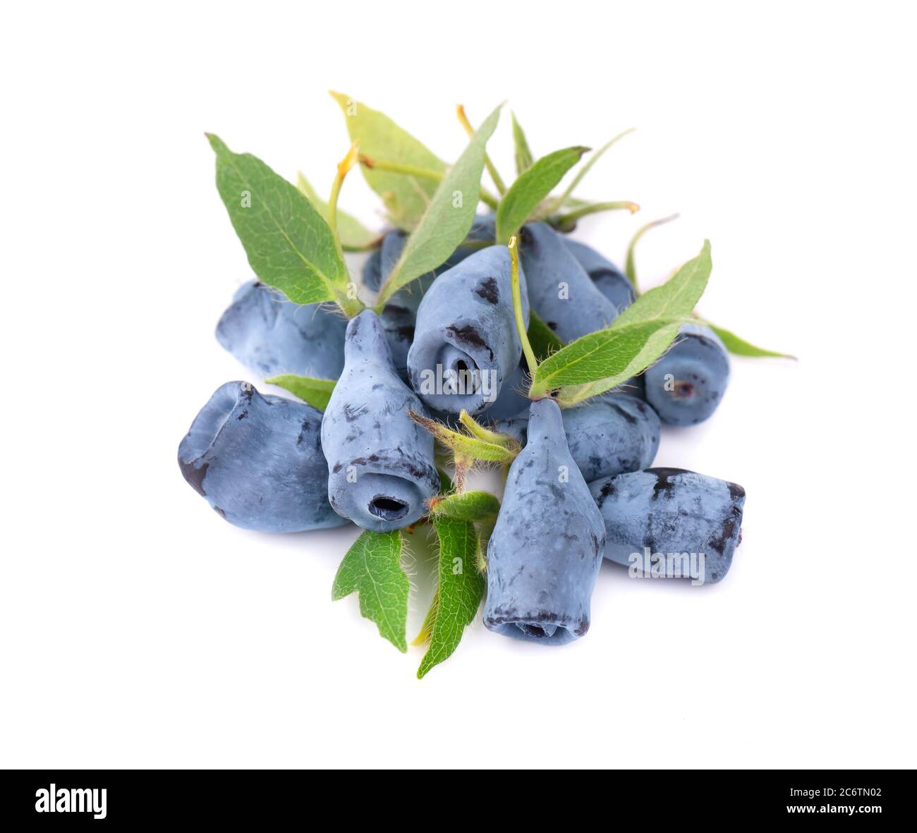 Fresh honeysuckle blue berry fruits with leaf, isolated on white ...
