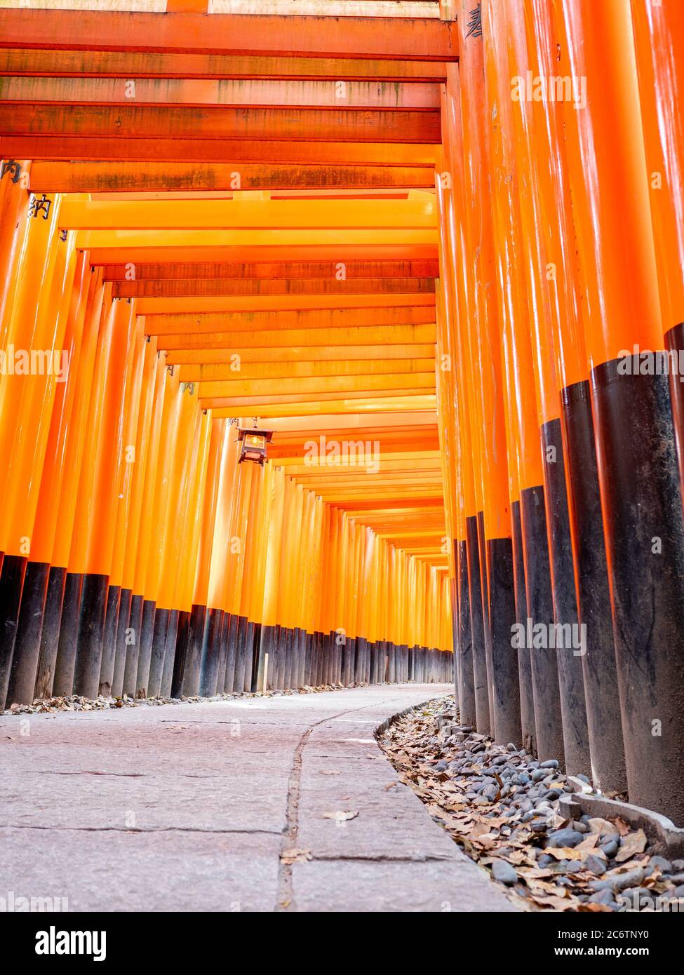 Torii path lined with thousands of torii in the Fushimi Inari Taisha ...