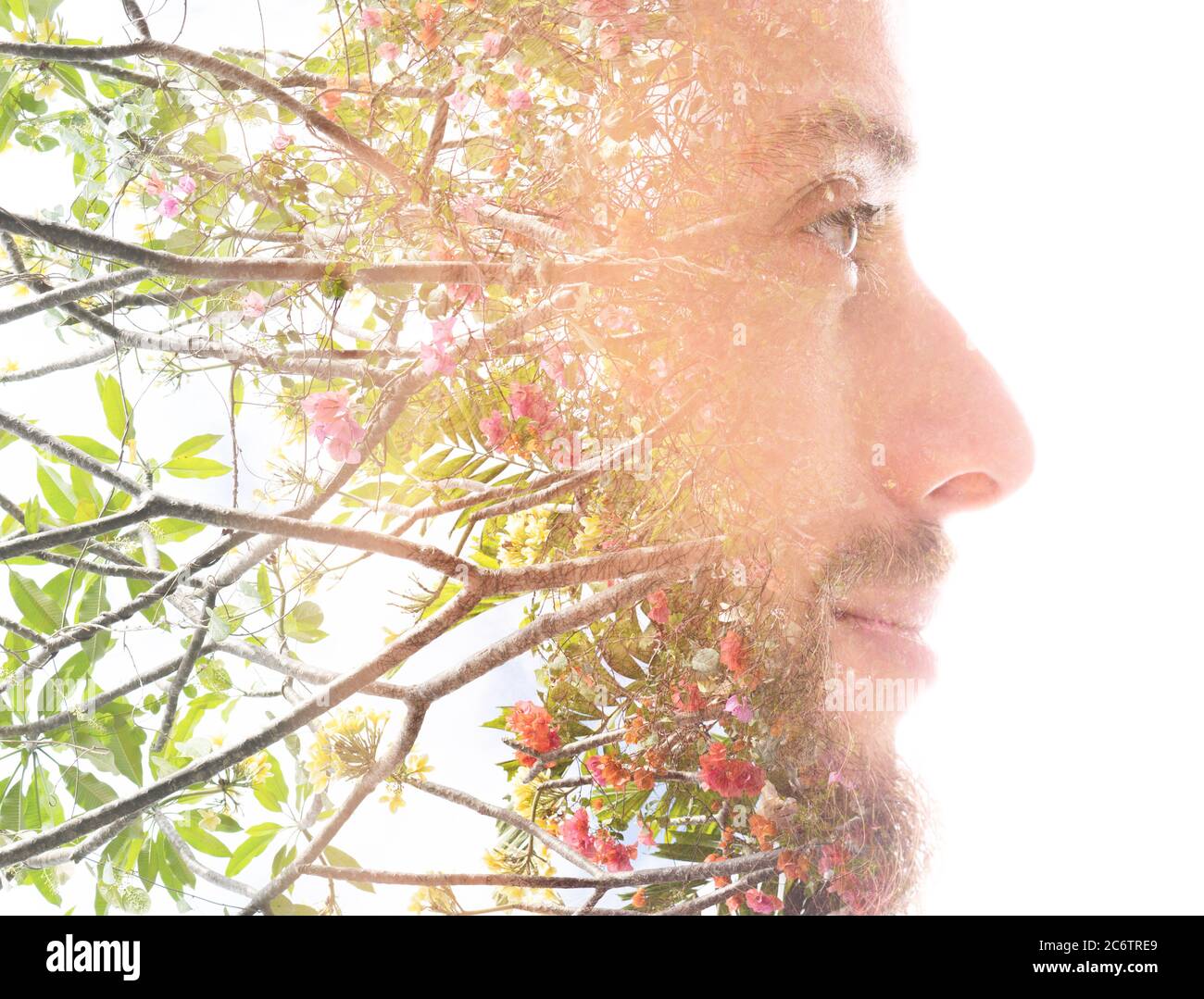 Surreal creative double exposure portrait Stock Photo - Alamy