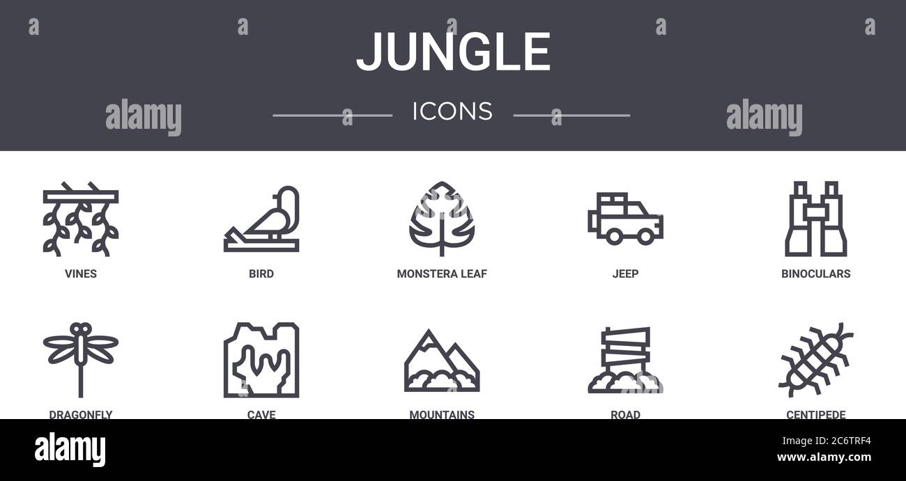 jungle concept line icons set. contains icons usable for web, logo, ui ...