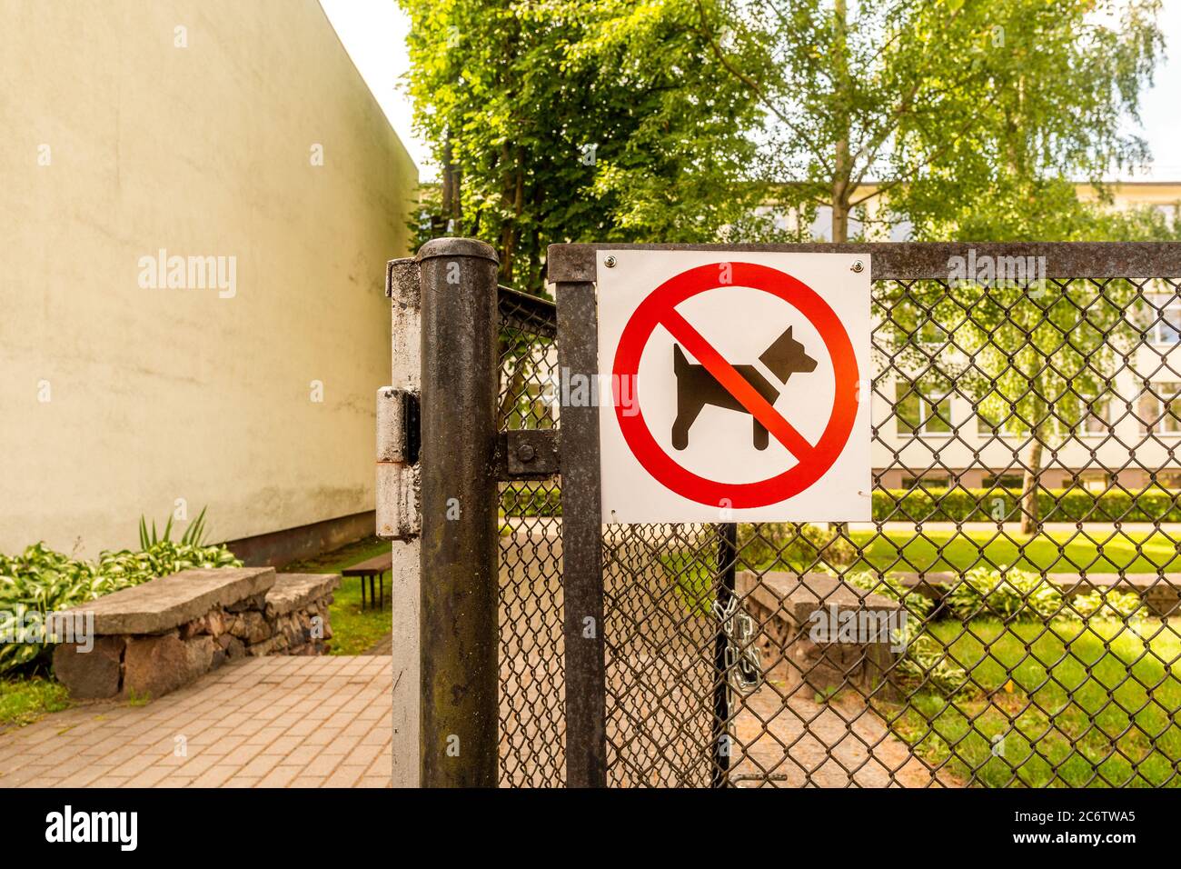 No dogs allowed sign on a metal gate. No dogs sign on fence Stock Photo ...