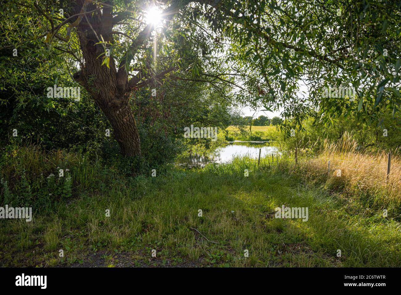 Beautiful murky river floating through a lush, green area. Reflections ...