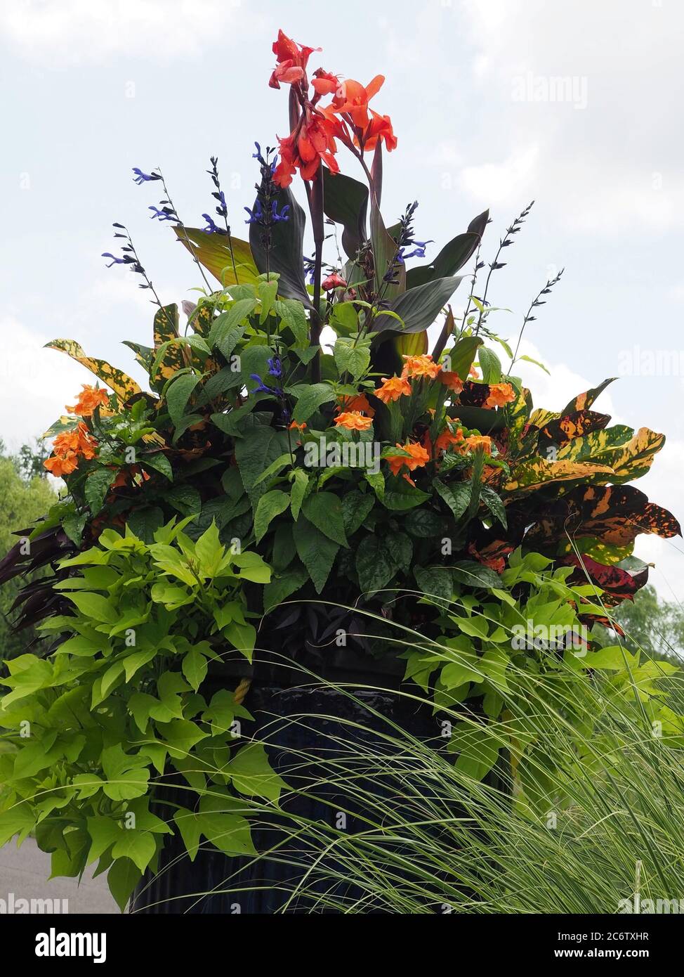 Unique pot hi-res stock photography and images - Alamy