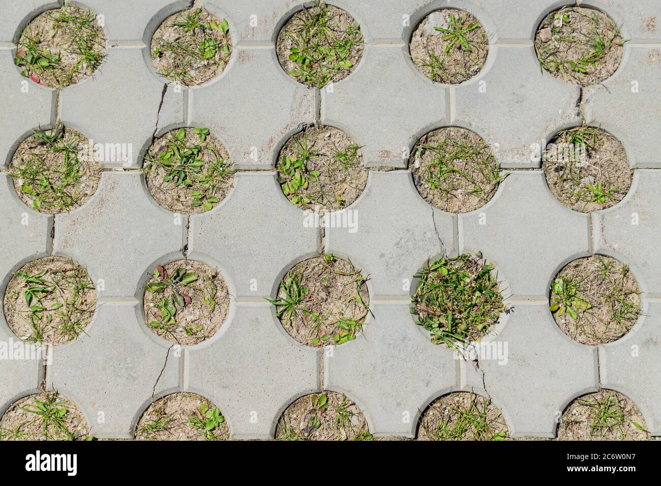 top view of concrete pavement with growing grass. Background texture ...