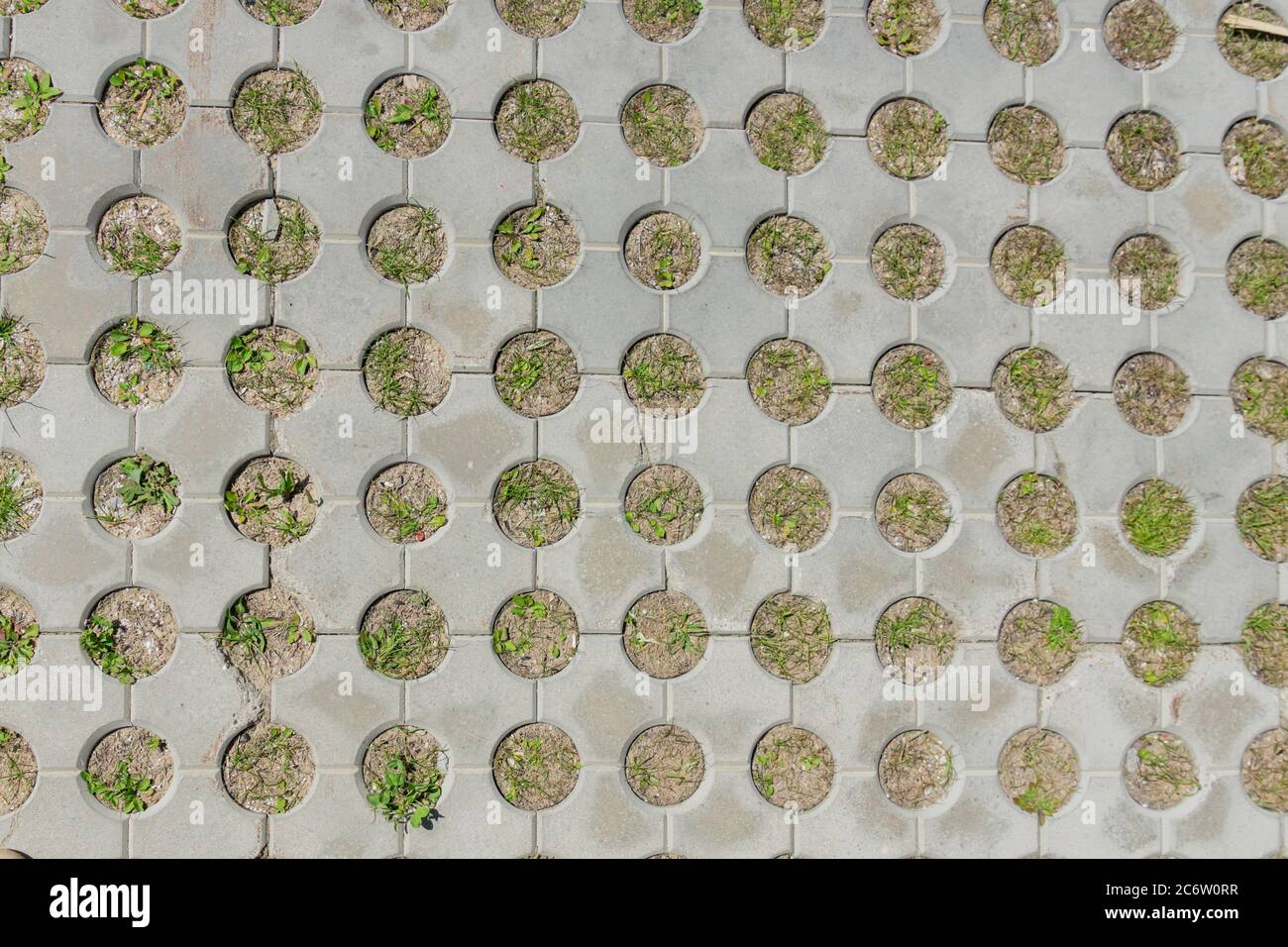 top view of concrete pavement with growing grass. Background texture ...