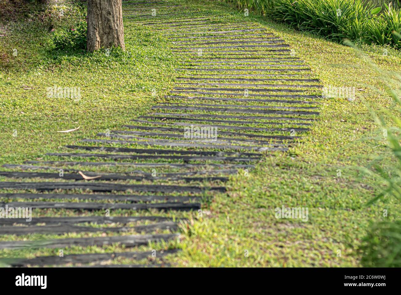 Curved Paver Path decoration landscape design, Walkway Through Grass ...