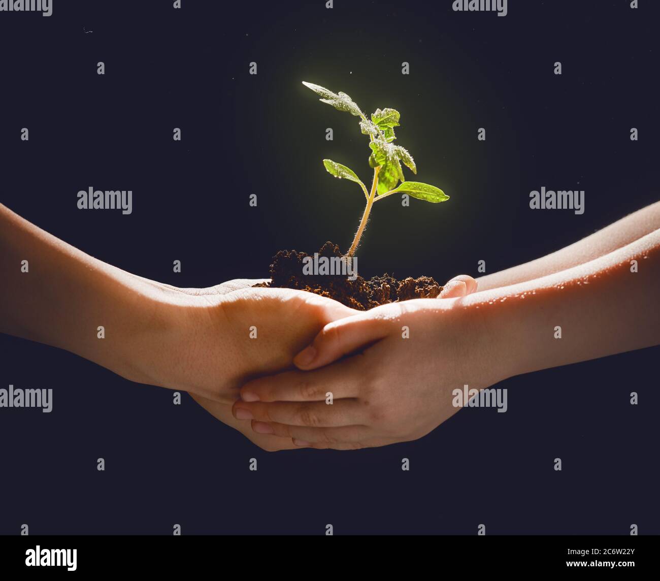 Concept of generation and development. Adult and child are holding in ...