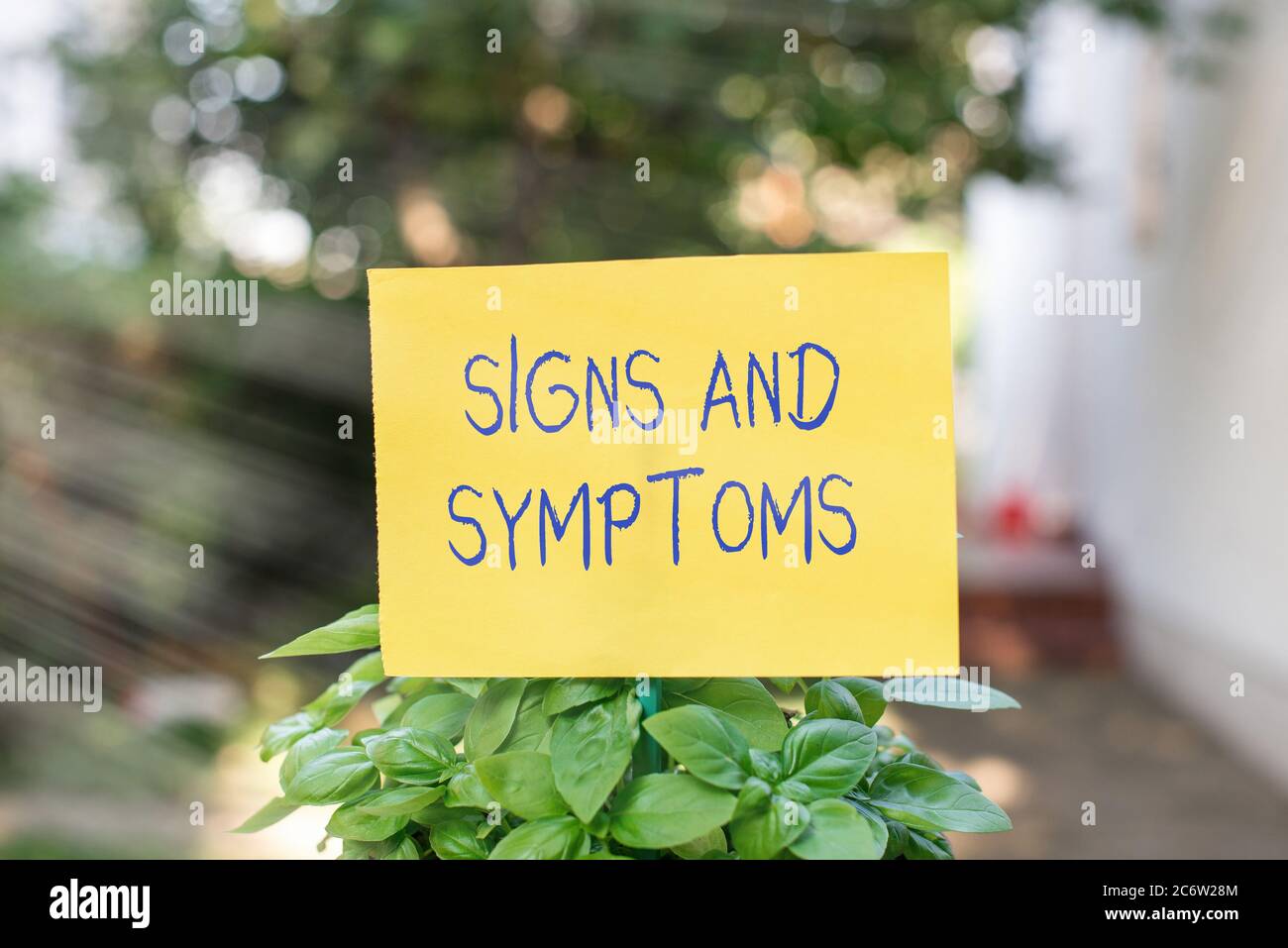 Handwriting text writing Signs And Symptoms. Conceptual photo ...