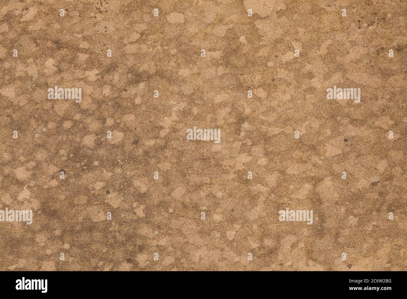 Mottled brown above hi-res stock photography and images - Alamy