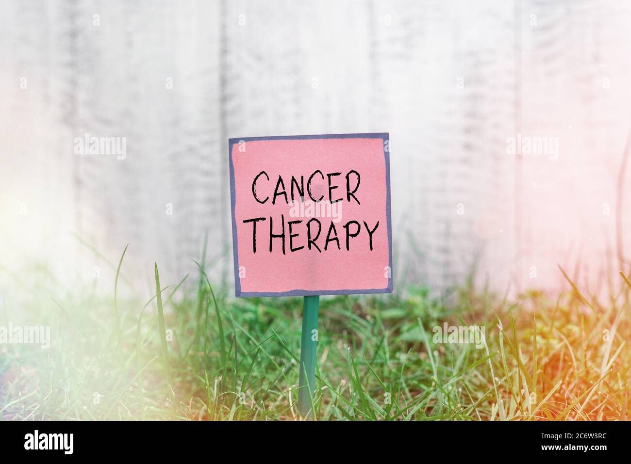 Text sign showing Cancer Therapy. Business photo text the treatment of ...