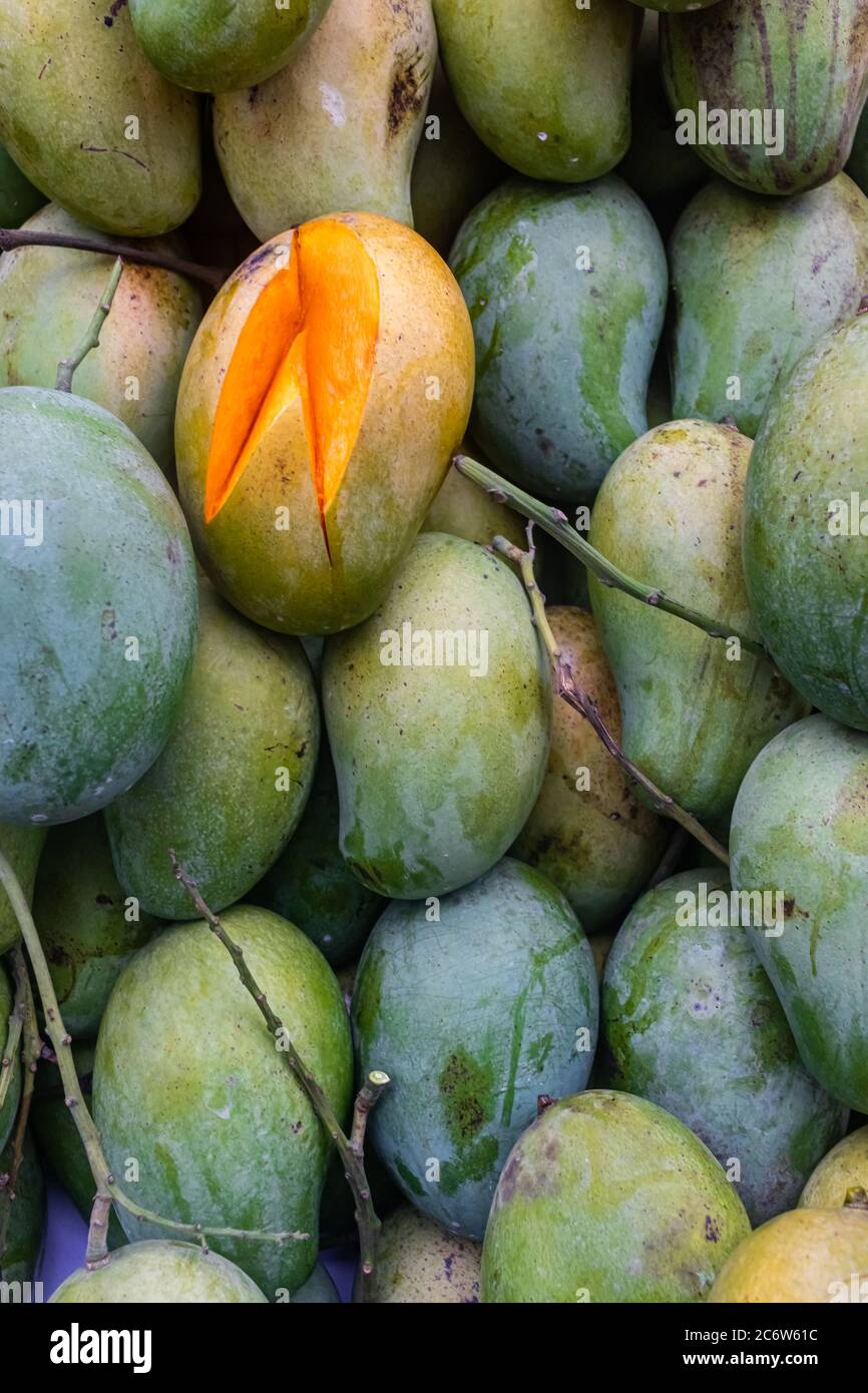 Mango business bangladesh hi-res stock photography and images - Alamy