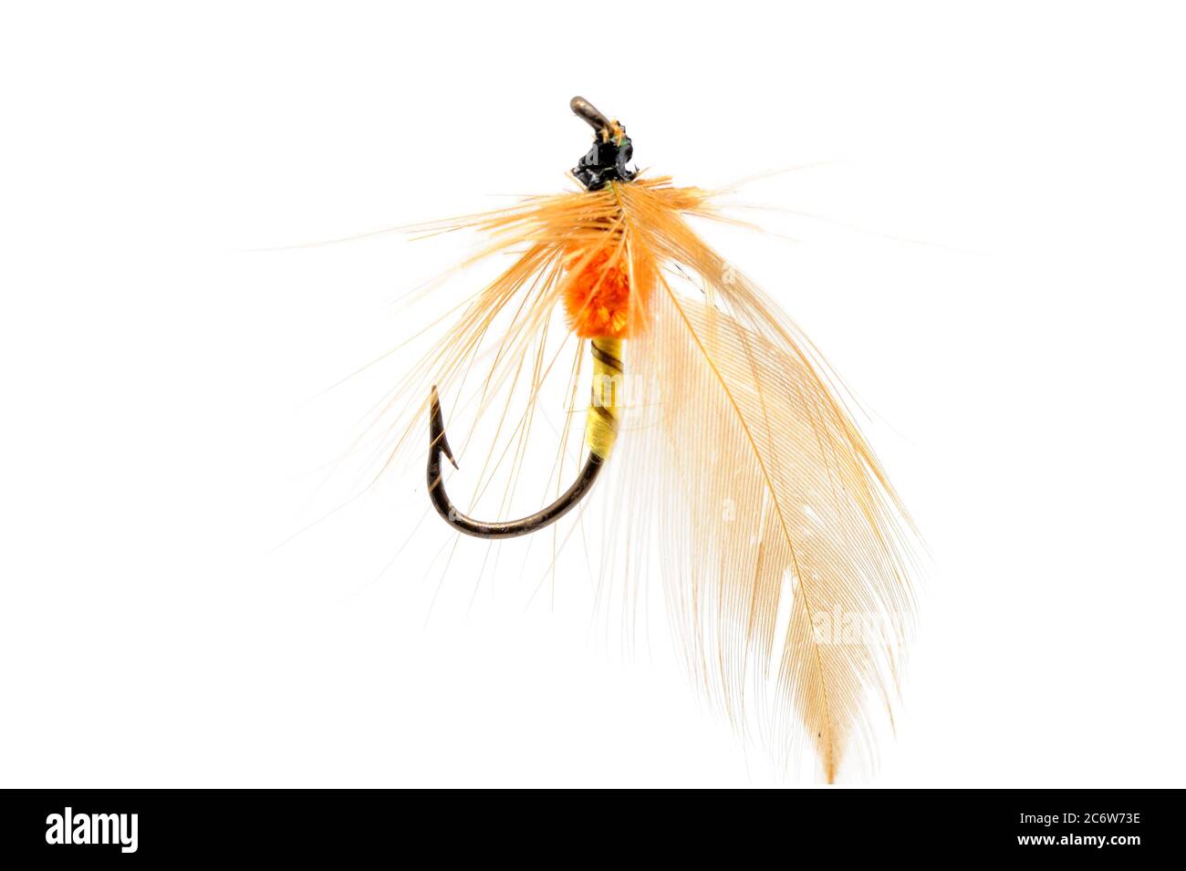 Close-up of a colorful fishing fly on a white background Stock Photo ...