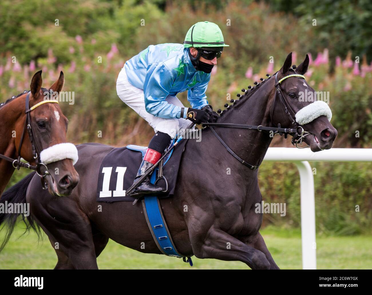 Tax for max horse hi-res stock photography and images - Alamy