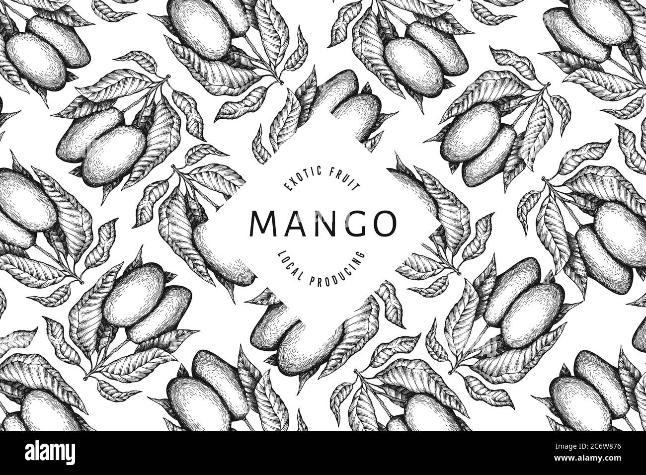 Mango design template. Hand drawn vector tropic fruit illustration ...