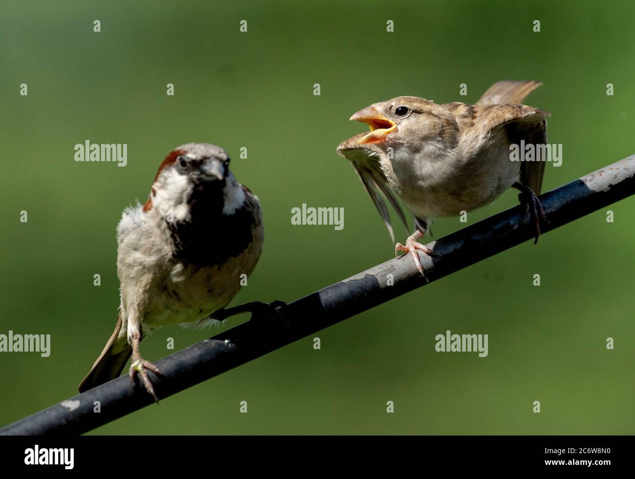 Slanting beam hi-res stock photography and images - Alamy