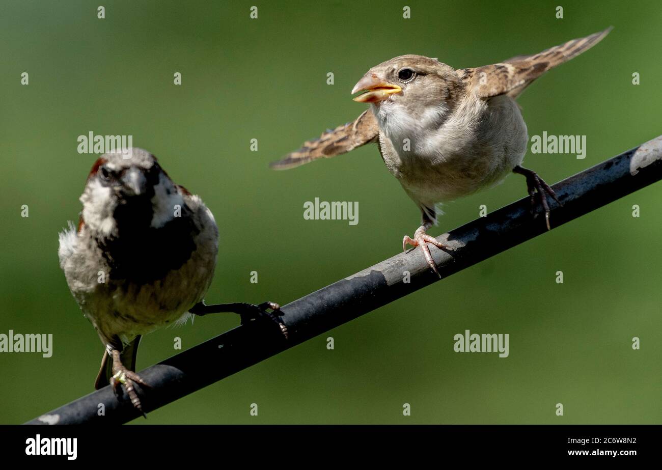 Slanting beam hi-res stock photography and images - Alamy