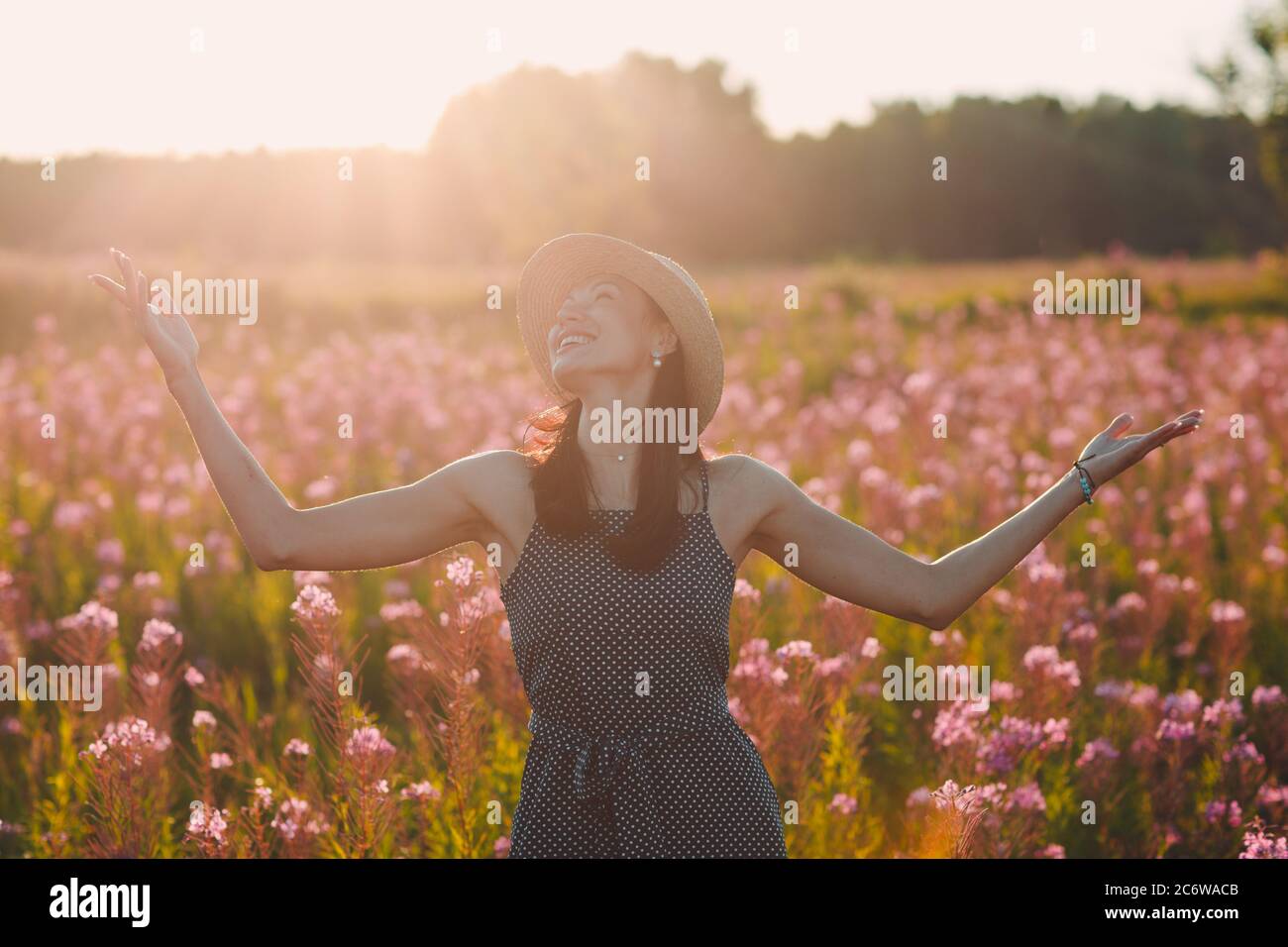 Girl on blooming Sally flower field at sunset. Lilac flowers and woman ...
