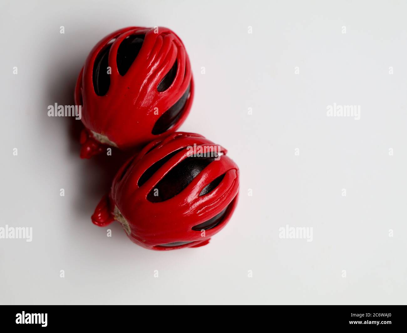 Fresh nutmeg with red mace kept against white background. Nutmeg ...