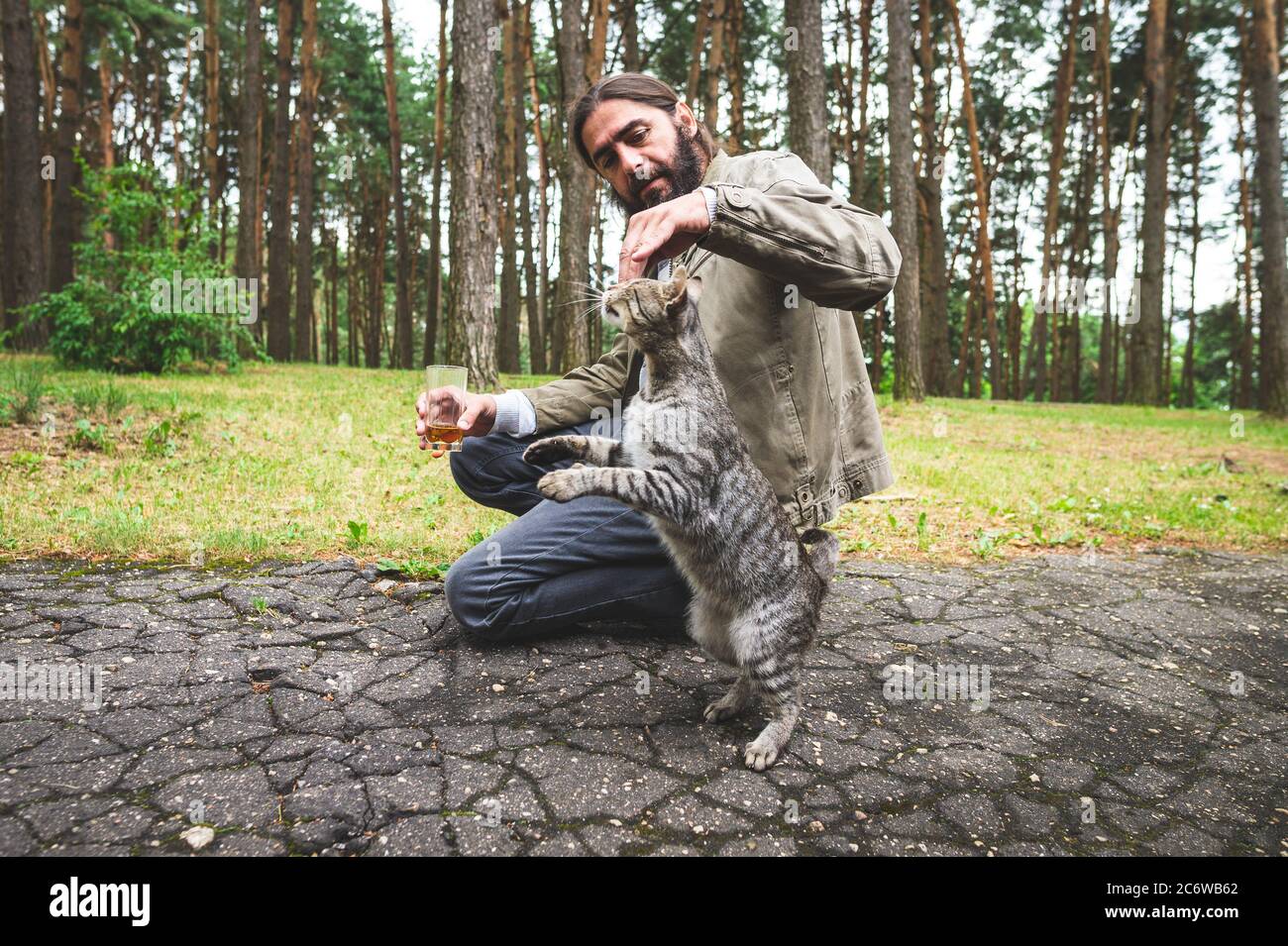 A man plays with a gray tabby cat. Cat performs a trick Stock Photo - Alamy