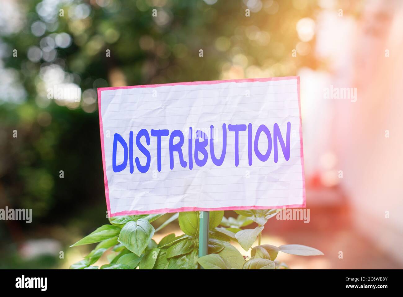 Conceptual hand writing showing Distribution. Concept meaning the ...