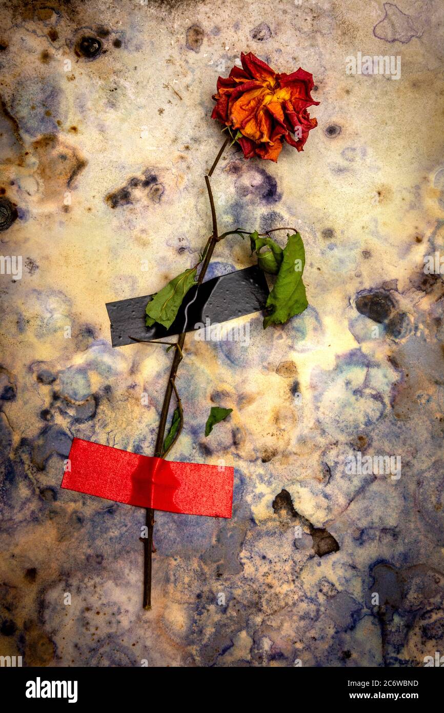 Red rose laying on a textured surface with colored tape Stock Photo - Alamy