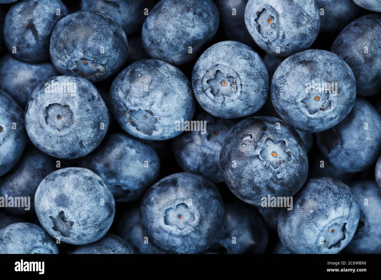 Blueberries in the form of a full-screen texture Stock Photo - Alamy