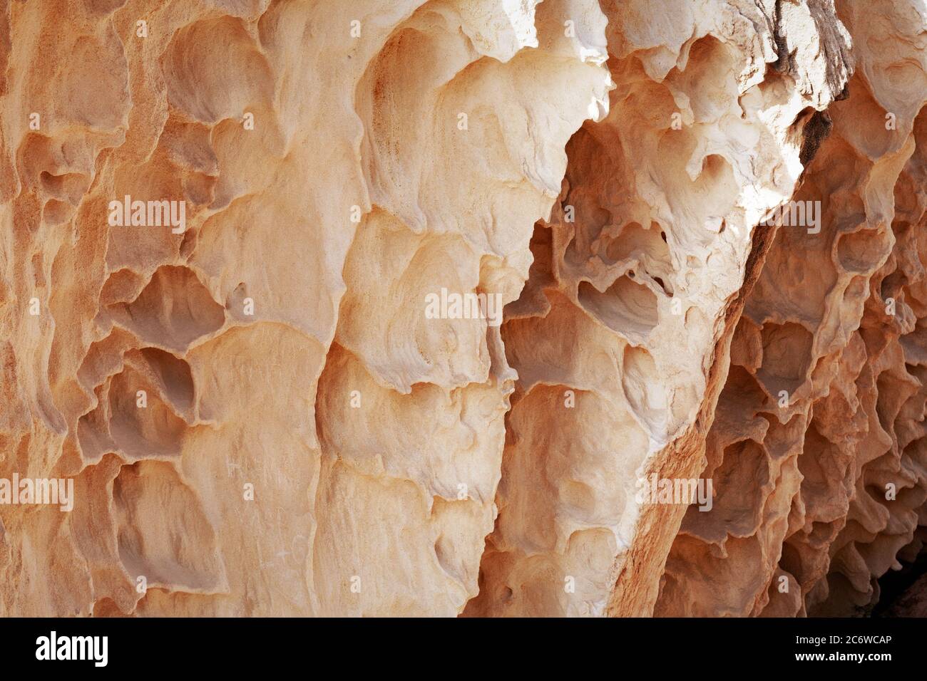Surface sandy rock. Rocky shore of the Caspian Sea Stock Photo - Alamy