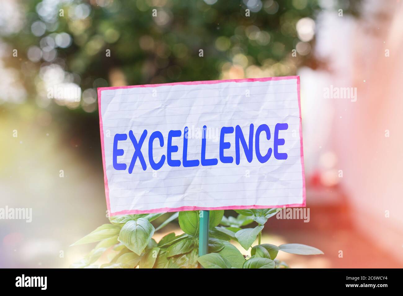 Conceptual hand writing showing Excellence. Concept meaning standard of ...