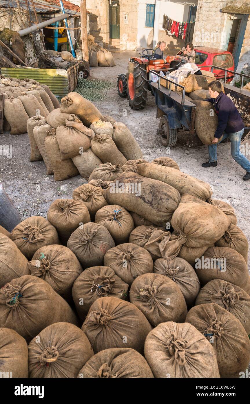 Olive oil press in oil hi-res stock photography and images - Alamy