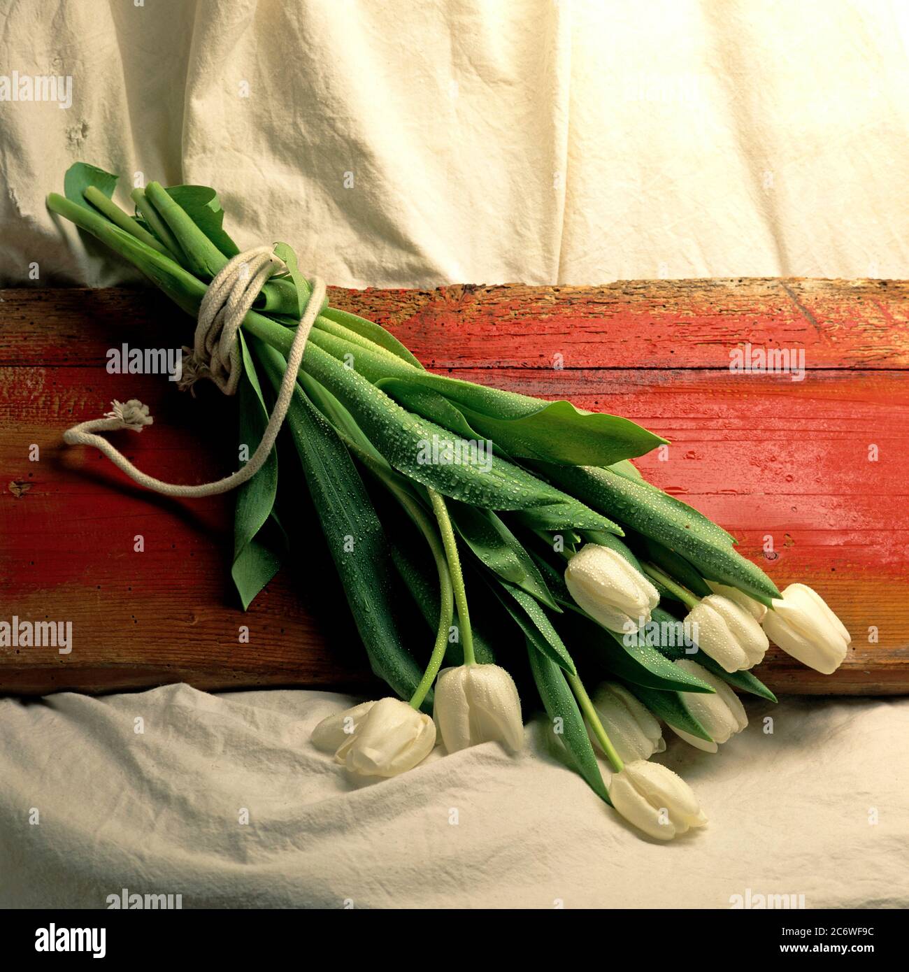 Tulip bundle hi-res stock photography and images - Alamy