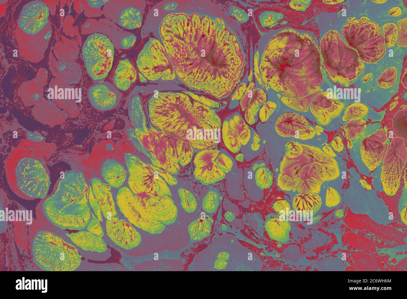 Abstract marbling pattern for fabric, design. Creative marbling ...