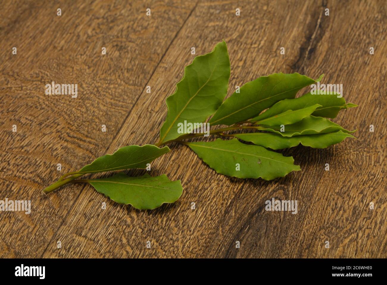 Green laurel leaves on the branch - for cooking Stock Photo - Alamy