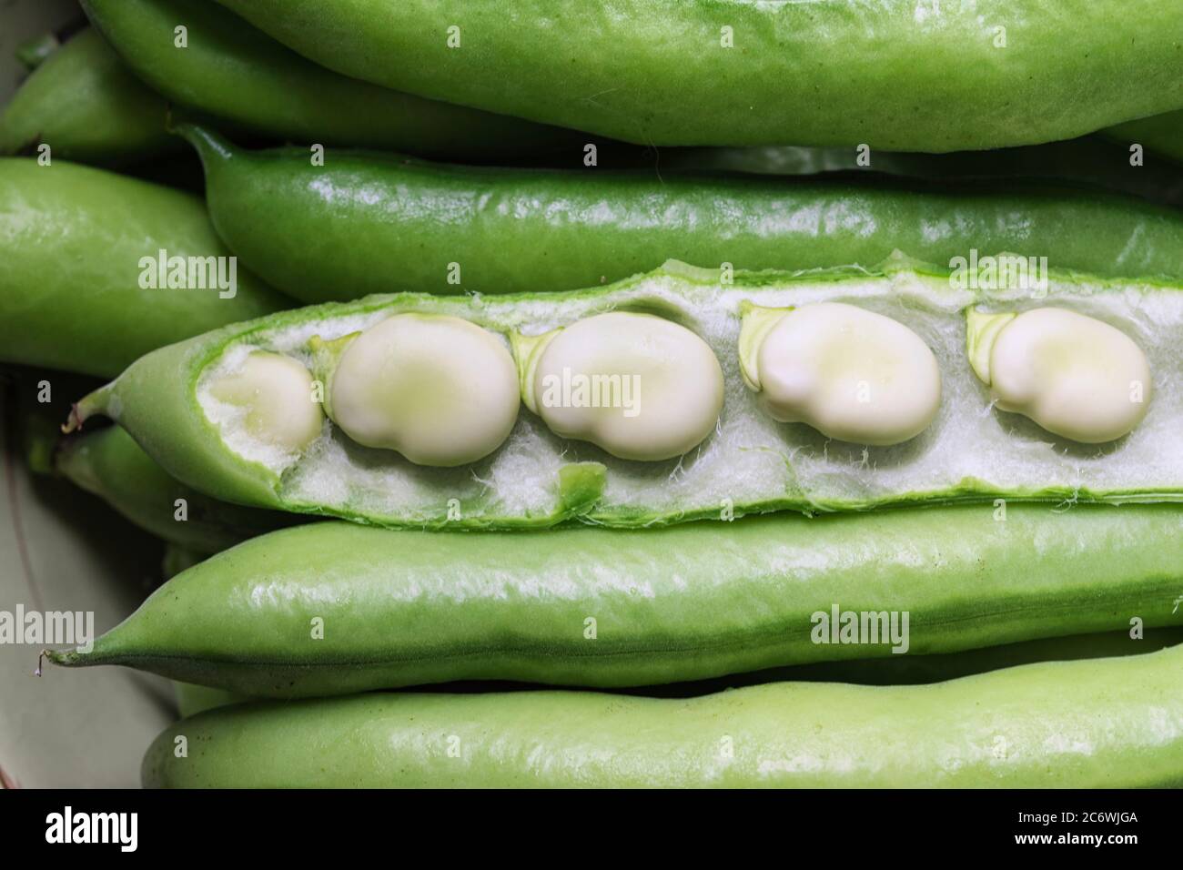Broad beans close up, green, raw and fresh shelled fava beans and seed ...