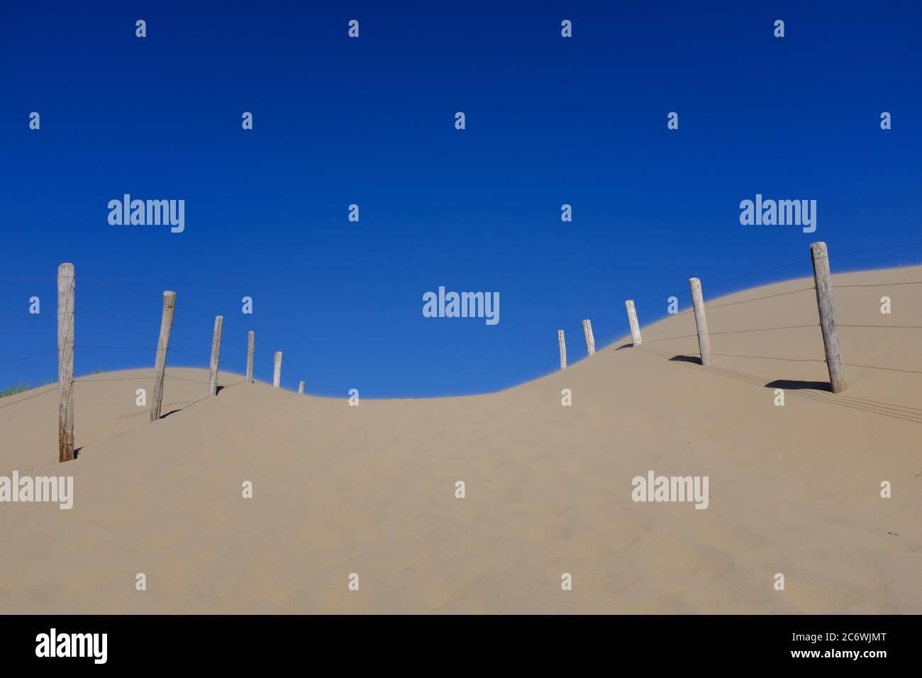 Dune stabilisation planting hi-res stock photography and images - Alamy