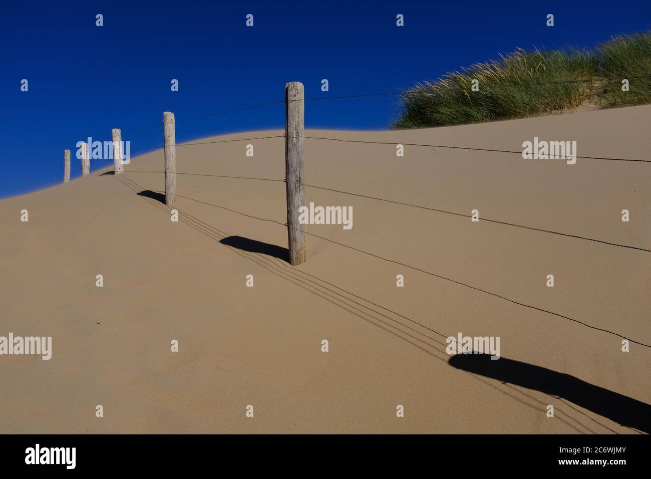 Dune stabilisation plants hi-res stock photography and images - Alamy