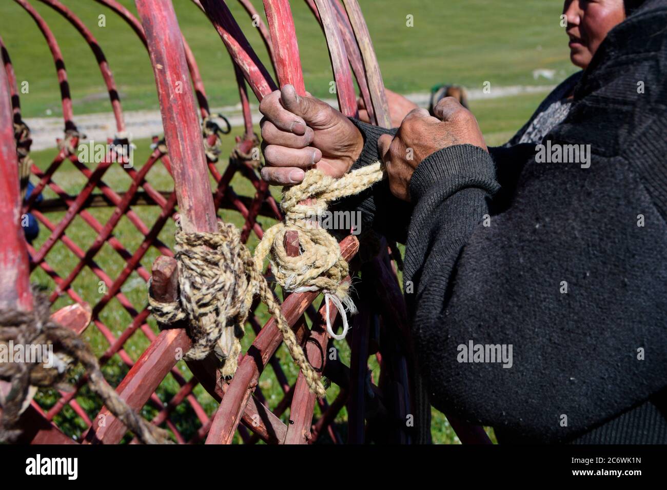 Bert ruiter hi-res stock photography and images - Alamy