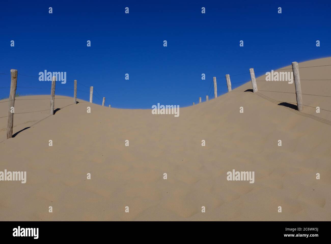 Dune stabilisation planting hi-res stock photography and images - Alamy