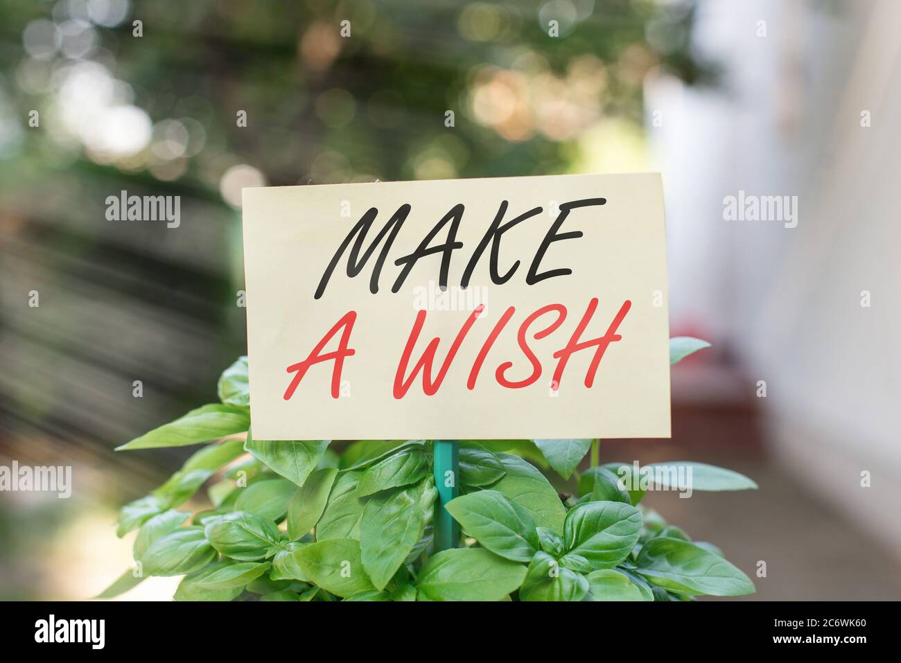 Handwriting text writing Make A Wish. Conceptual photo to desire a ...
