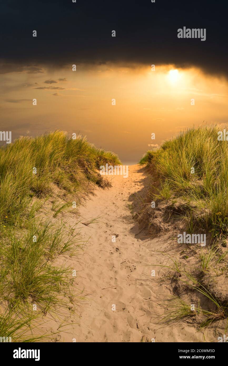 Sandy path through long grass leading uphill with dramatic orange and ...