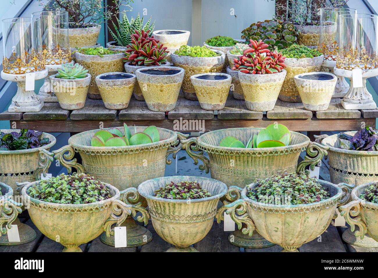 Rustic flower pots hi-res stock photography and images - Alamy